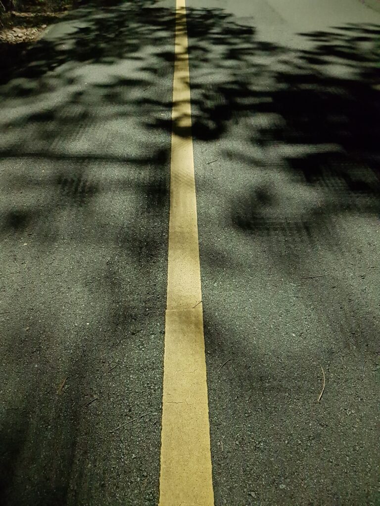 Komorebi Effect-Hero and Villain | Lighting Detectives